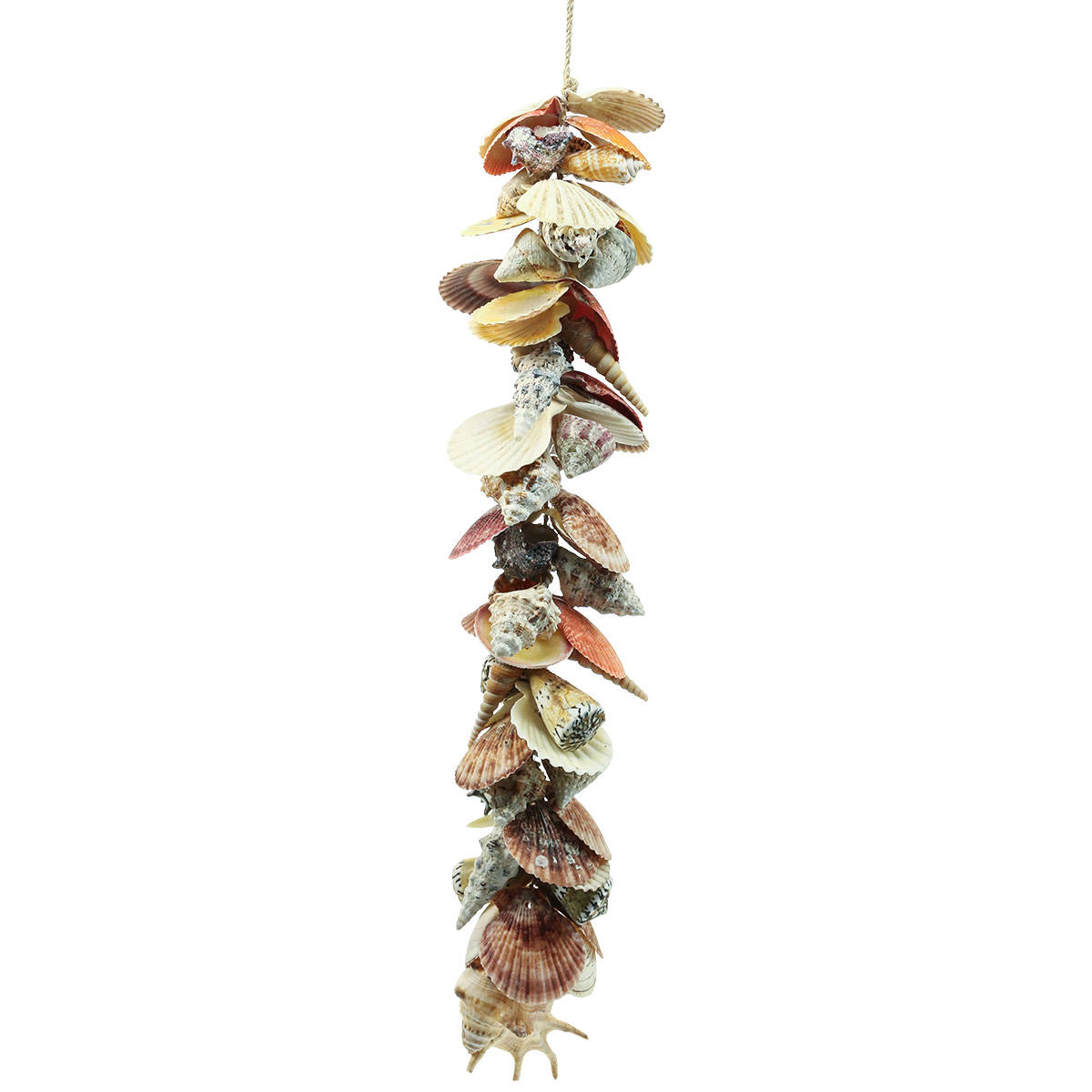 Floristik24.co.uk Maritime hanging decoration shells and sea snails ...