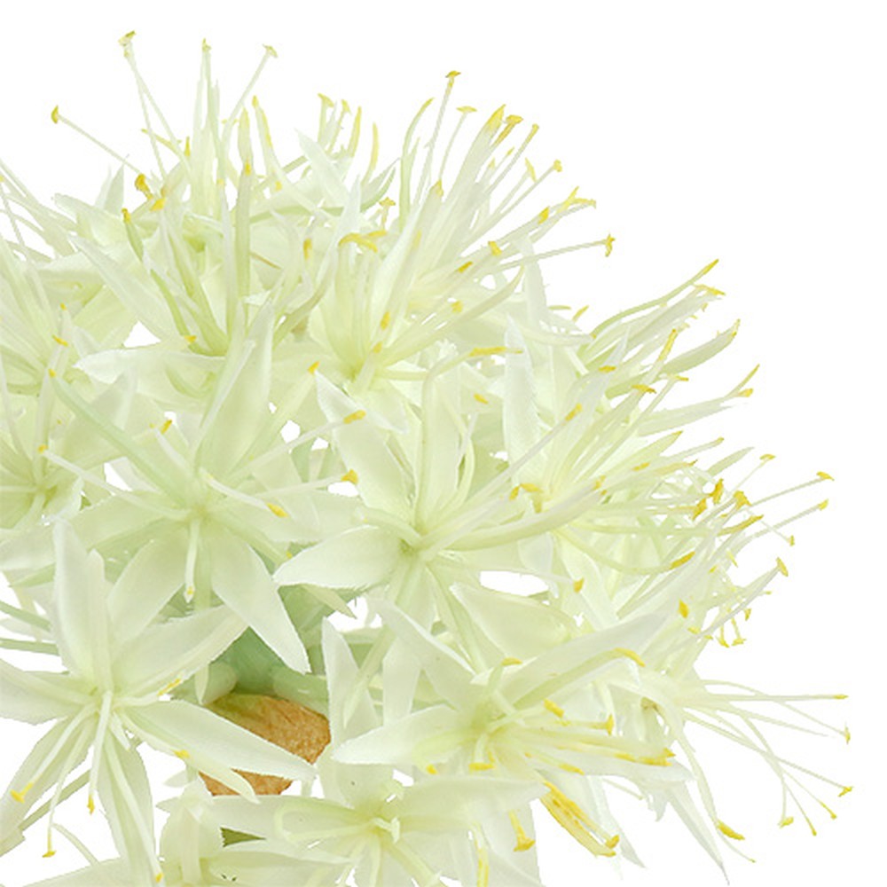 Floristik24.co.uk Allium cream white L76cm