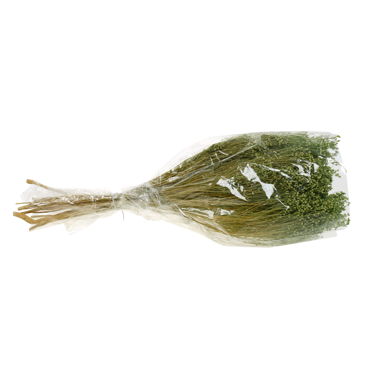 Floristik24.co.uk Dried Flowers Broom Bloom Light Green 150g-57873-22