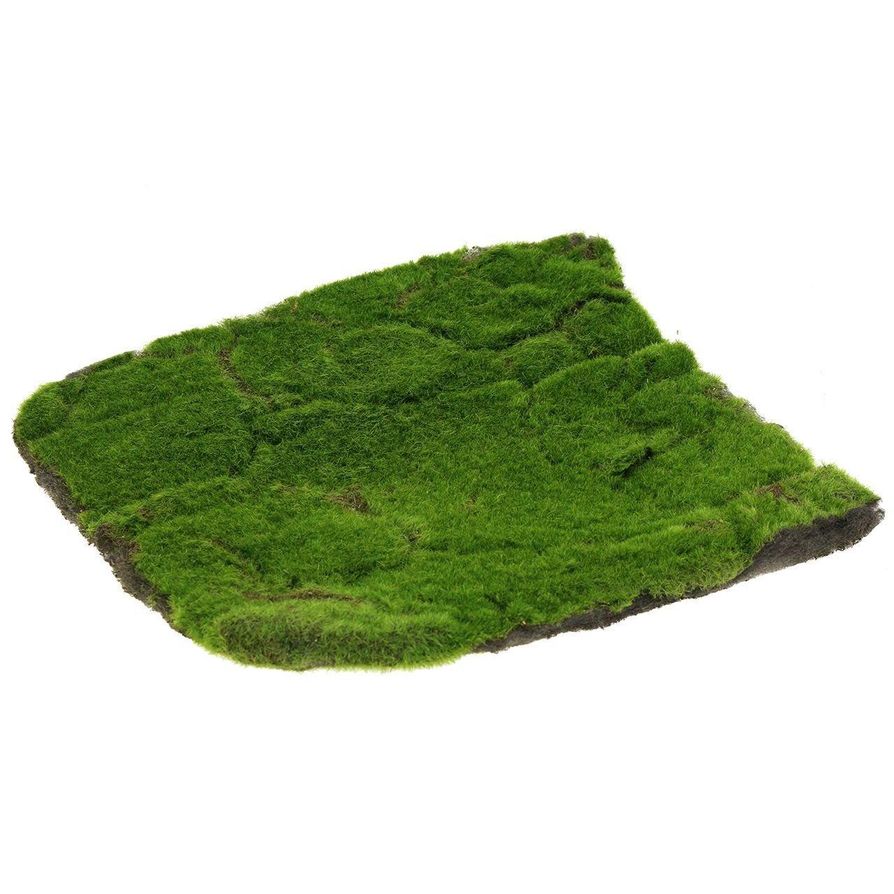 Floristik24.co.uk Moss Mat Green 35cm x 35cm-85810