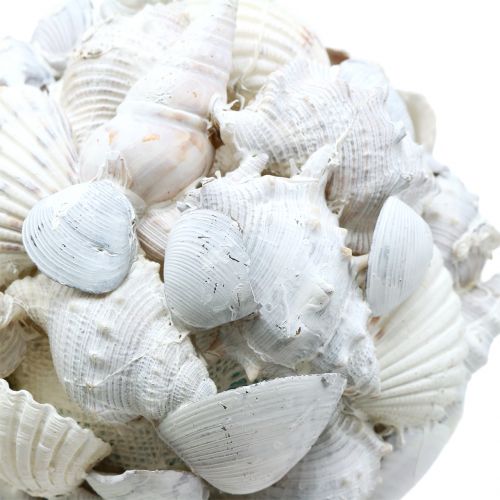 Floristik24.co.uk Shell Ball White Ø10cm