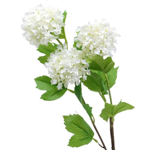 Floristik24.co.uk Snowball viburnum branch artificial 63.5cm-63264