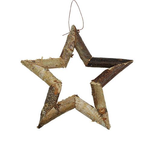 Floristik24.co.uk Birch star for hanging 16cm